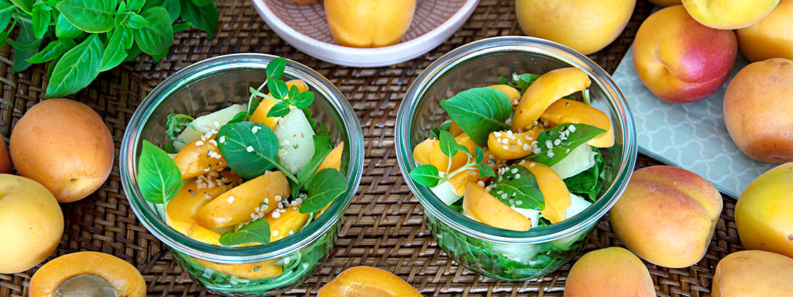 Rezepte von Steffis Team